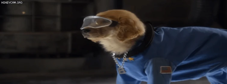 Sound Ideas, FLY - FLY BUZZING AROUND, ANIMAL, INSECT | Soundeffects ...