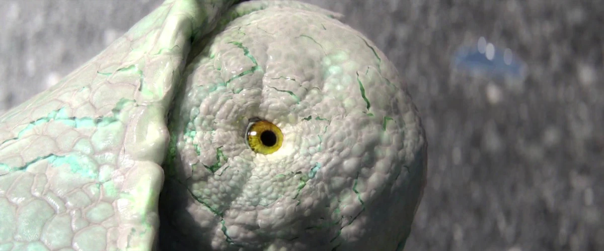 SKYWALKER, STRETCH - RUBBER CREAKING | Soundeffects Wiki | Fandom