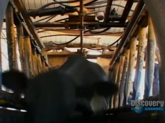 Dirty Jobs | Soundeffects Wiki | Fandom