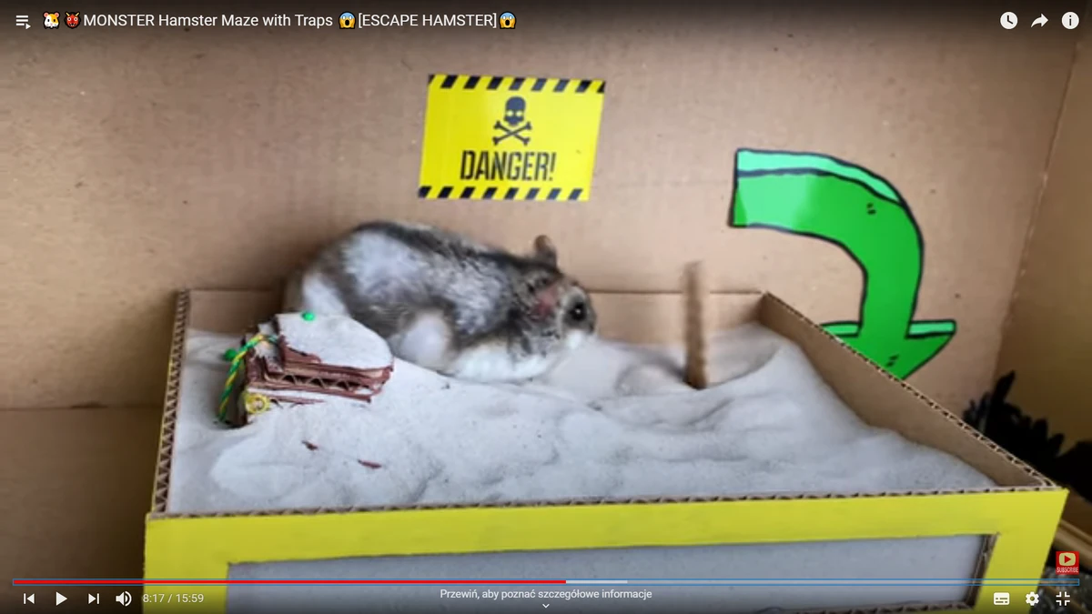 Sound Ideas, REPTILE, SNAKE - RATTLE, BULL SNAKE LONG & SHORT, ANIMAL ...