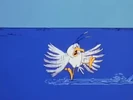 Sound Ideas, CARTOON, CHICKEN - LOUD SINGLE SQUAWK/Image Gallery ...