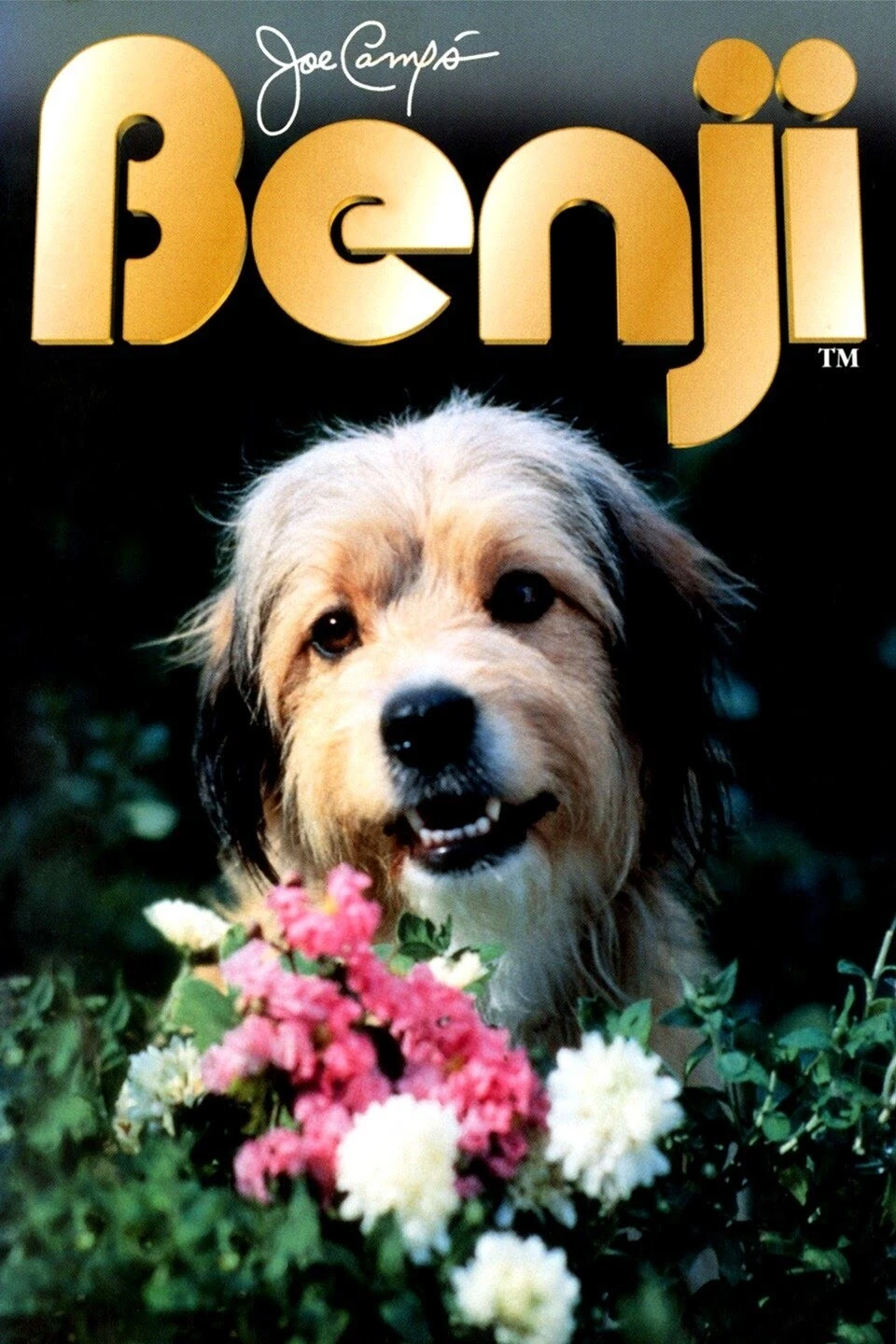 Benji (1974) | Soundeffects Wiki | Fandom