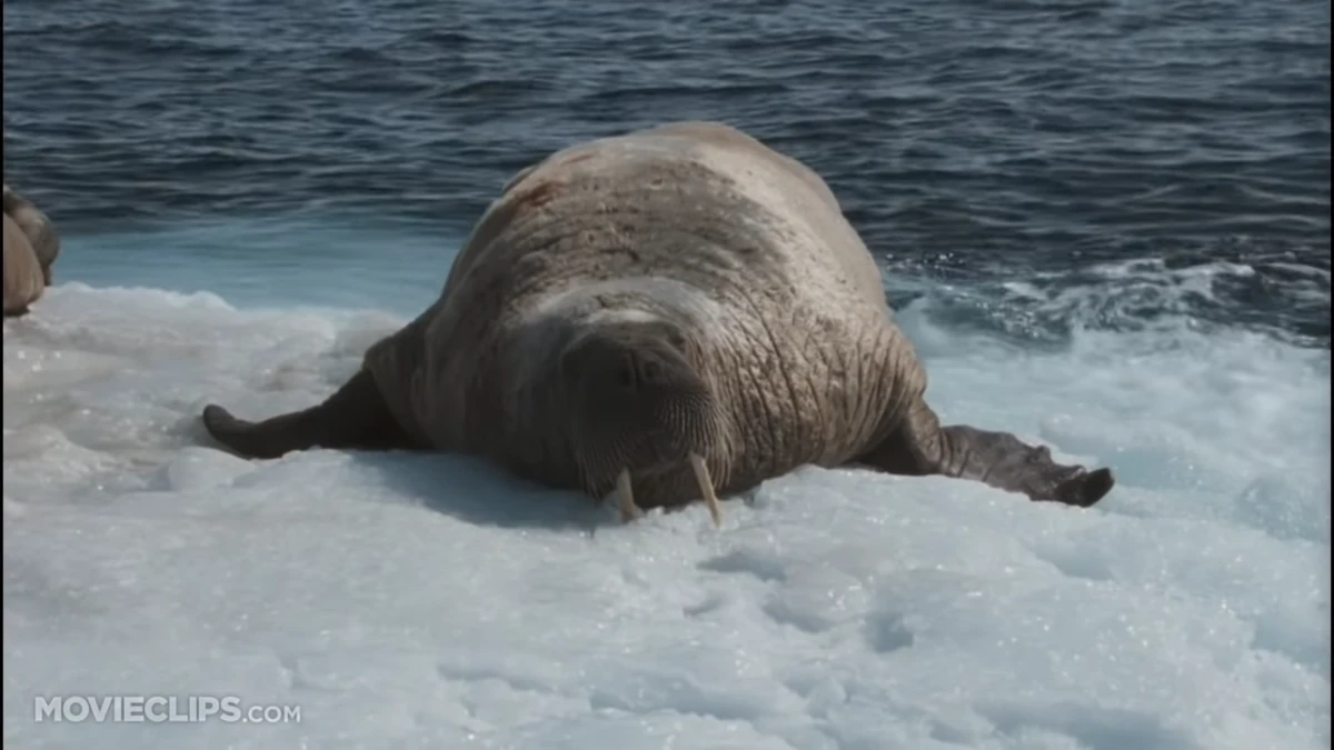 Sound Ideas, HUMAN, FART - MEDIUM FART, COMEDY, CARTOON 05 ...