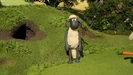 Shaun the Sheep/Image Gallery/Season 2 | Soundeffects Wiki | Fandom