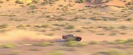 SKYWALKER, CAR - STOCK CAR DRIVING AT FAST SPEED/Image Gallery ...