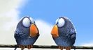 SKYWALKER, BIRD - BLUE BIRDS SQUEAKING/Image Gallery | Soundeffects ...