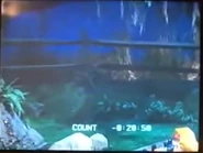 Sound Ideas, FROG - BULL FROG: CALL, ANIMAL, AMPHIBIAN | Soundeffects ...