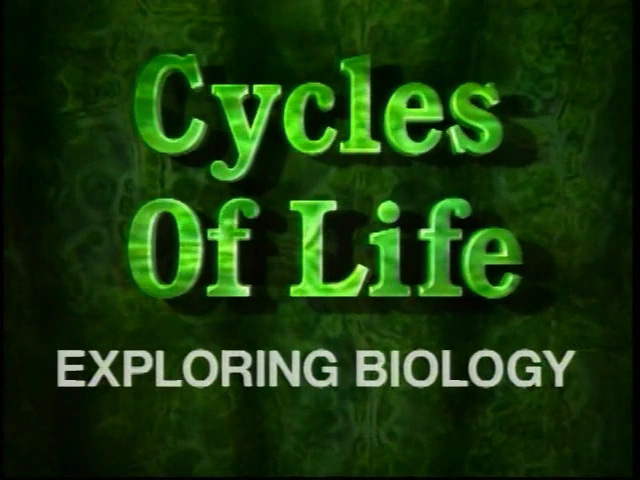 Cycles of Life: Exploring Biology | Soundeffects Wiki | Fandom