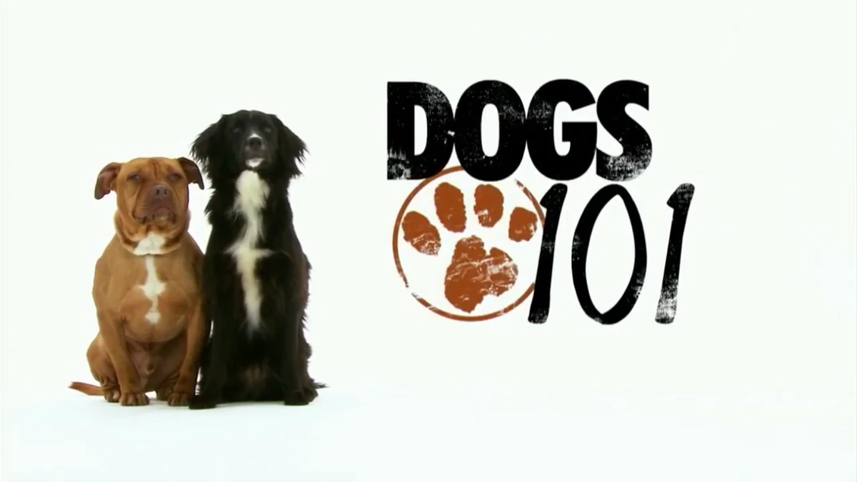 Dogs 101 | Soundeffects Wiki | Fandom