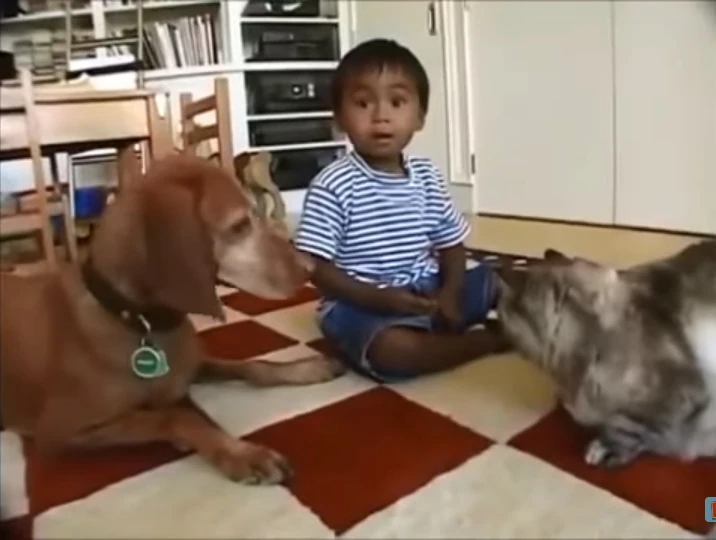 Elmo's World: Pets (2006) | Soundeffects Wiki | Fandom