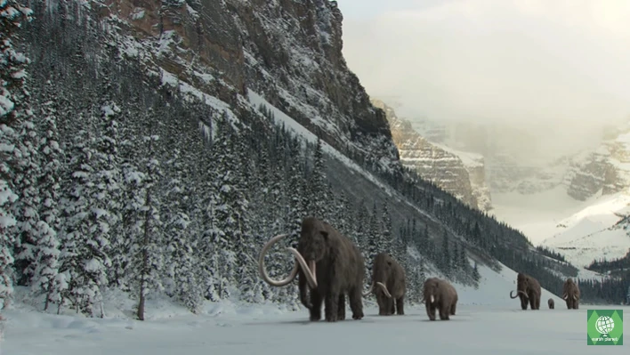 Sound Ideas, ELEPHANT - ELEPHANT HERD: SMALL INDOOR GROUP ROARING ...