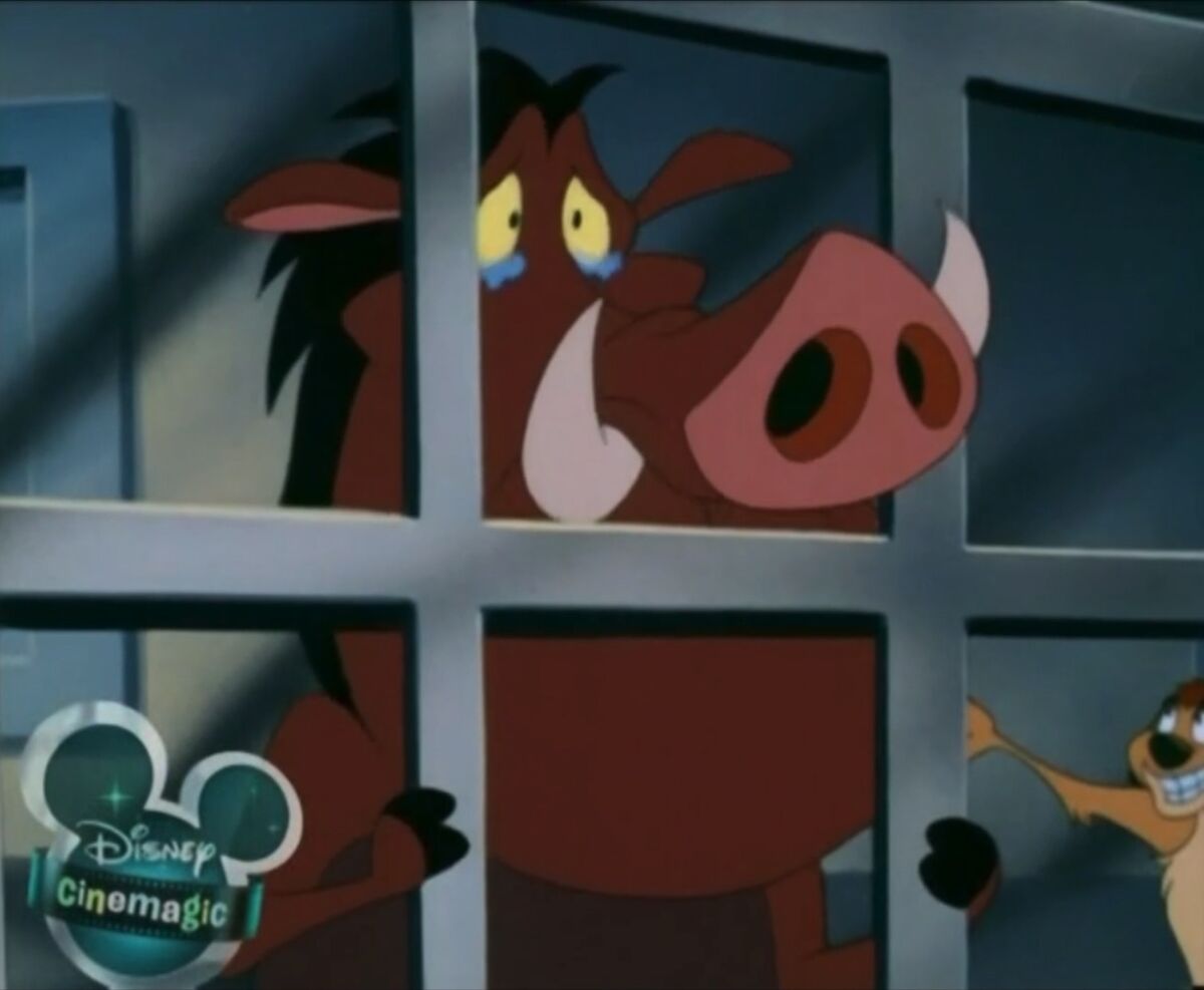 Timon And Pumbaaimage Galleryseason 3 Soundeffects Wiki Fandom