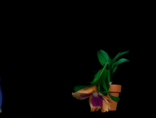 Unknown Metal Clattering Sound | Soundeffects Wiki | Fandom