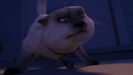 Over the Hedge (2006)/Image Gallery | Soundeffects Wiki | Fandom