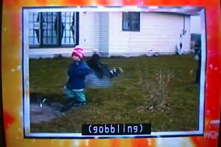 Sound Ideas, CARTOON, TURKEY - GOBBLING, ANIMAL, BIRD 03 | Soundeffects ...