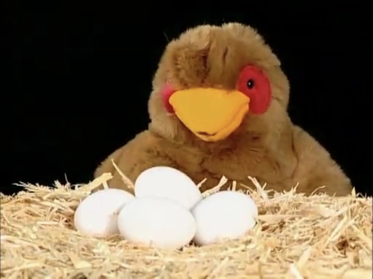 Sound Ideas, BIRD, DOVE - ROCK DOVE: CONSTANT COOING, ANIMAL ...