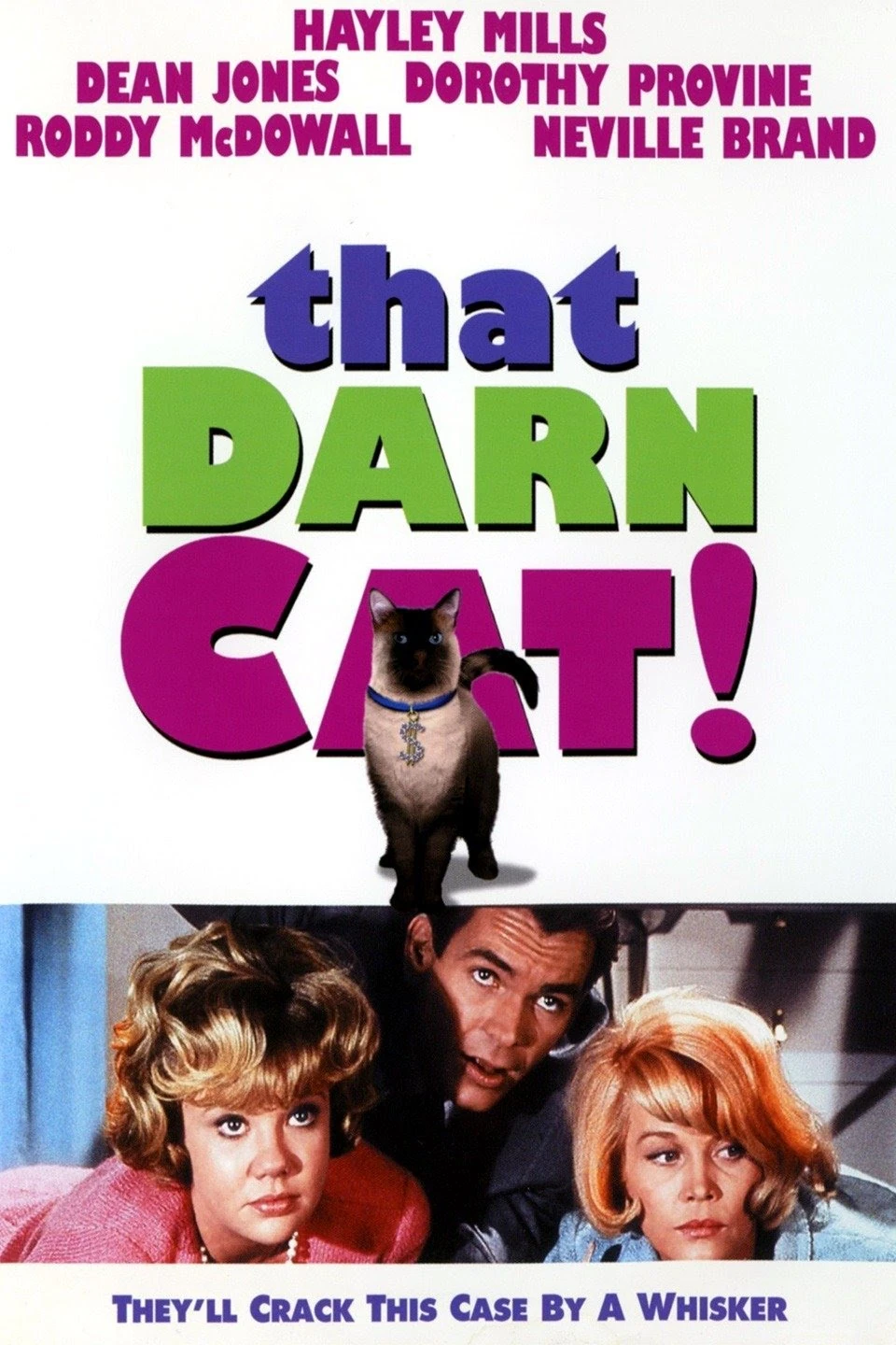 That Darn Cat! (1965) | Soundeffects Wiki | Fandom