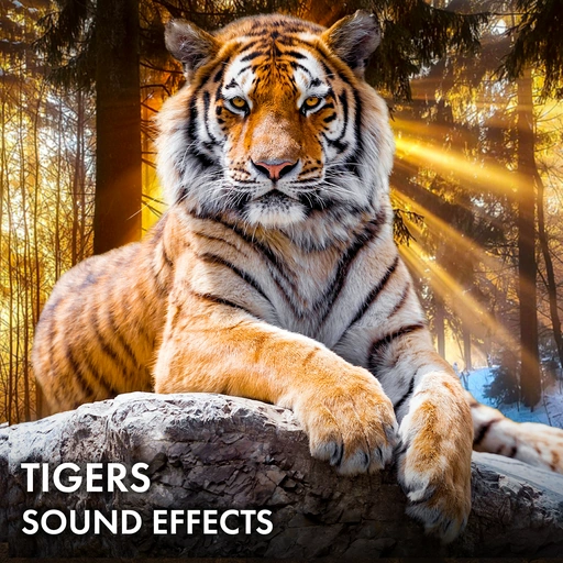 Tigers Sound Effects Library | Soundeffects Wiki | Fandom