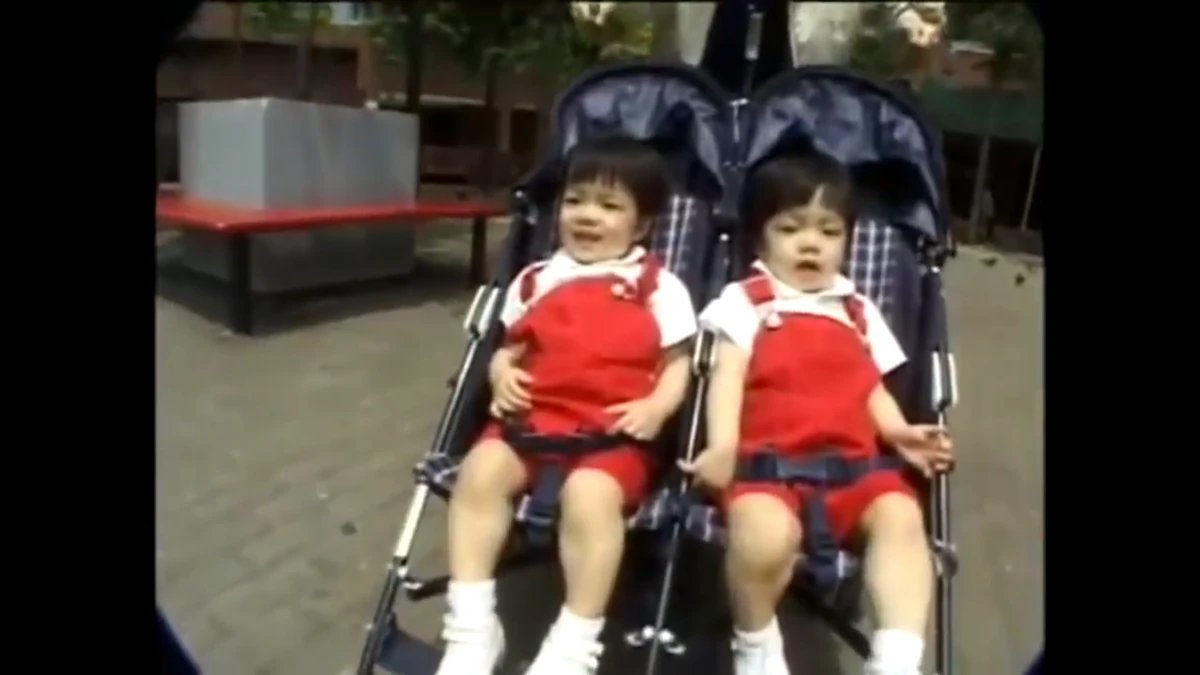 Elmo's World: Babies, Dogs & More! (2000) (Videos) | Soundeffects Wiki ...