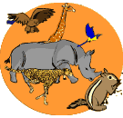 Sheppard Software: What Kind of Animal is This? (Online Games ...