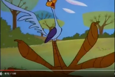 beep beep roadrunner