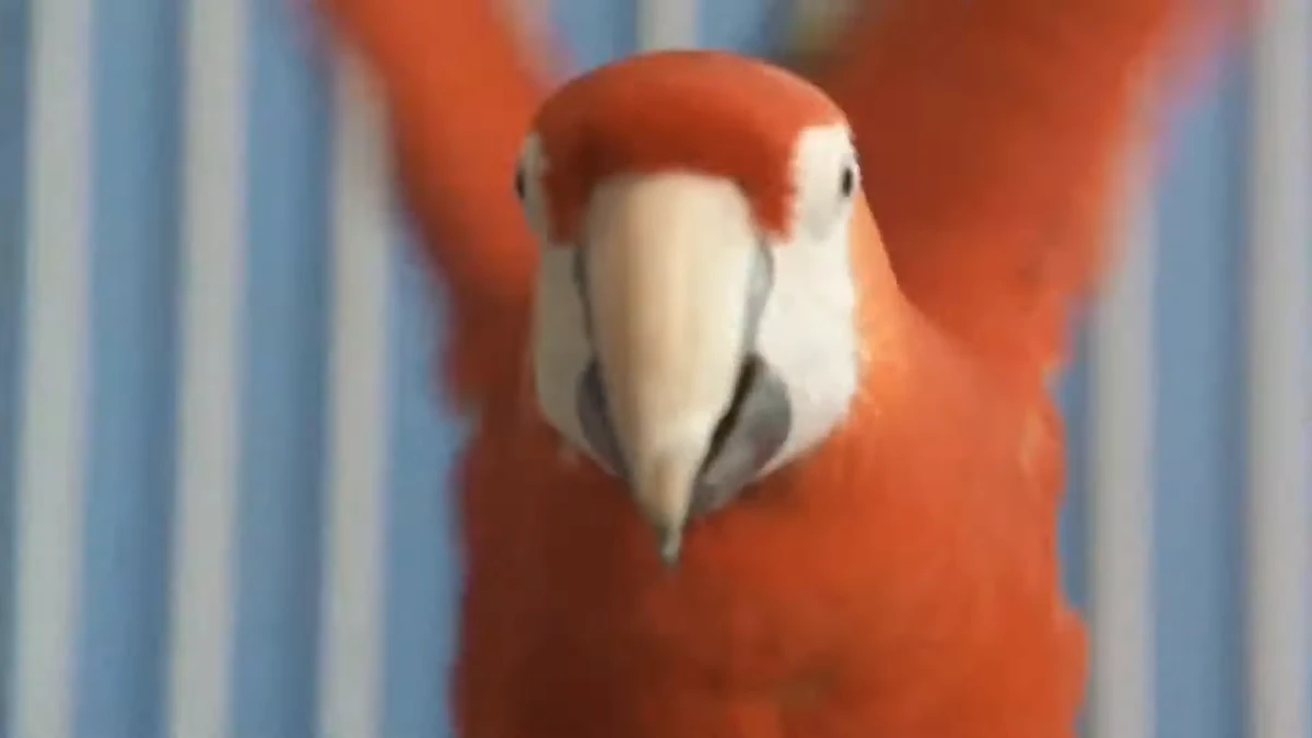 See Spot Run (2001)/Image Gallery | Soundeffects Wiki | Fandom