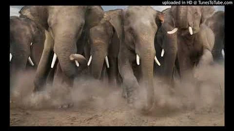 Elephant Stampede | Soundeffects Wiki | Fandom