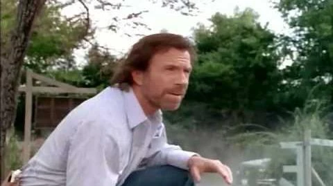 Walker, Texas Ranger | Soundeffects Wiki | Fandom