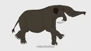 Sound Ideas, ELEPHANT - VARIOUS SNORTS, GROWLS, TRUMPETS, ANIMAL/Image ...