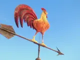 Category:Rooster Sound Effects | Soundeffects Wiki | Fandom