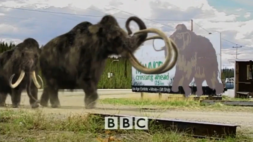Sound Ideas, ANIMAL, ELEPHANT - AGITATED CRIES, GROWLS | Soundeffects ...