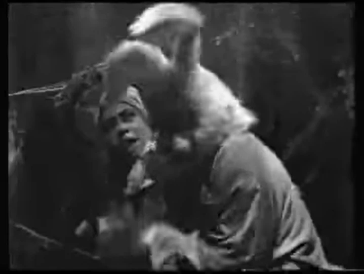 Hollywoodedge, Wubble Wobble Spring PE940704/Image Gallery/Other TV ...