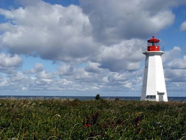 Naufrage | Sourispedia Wiki | Fandom