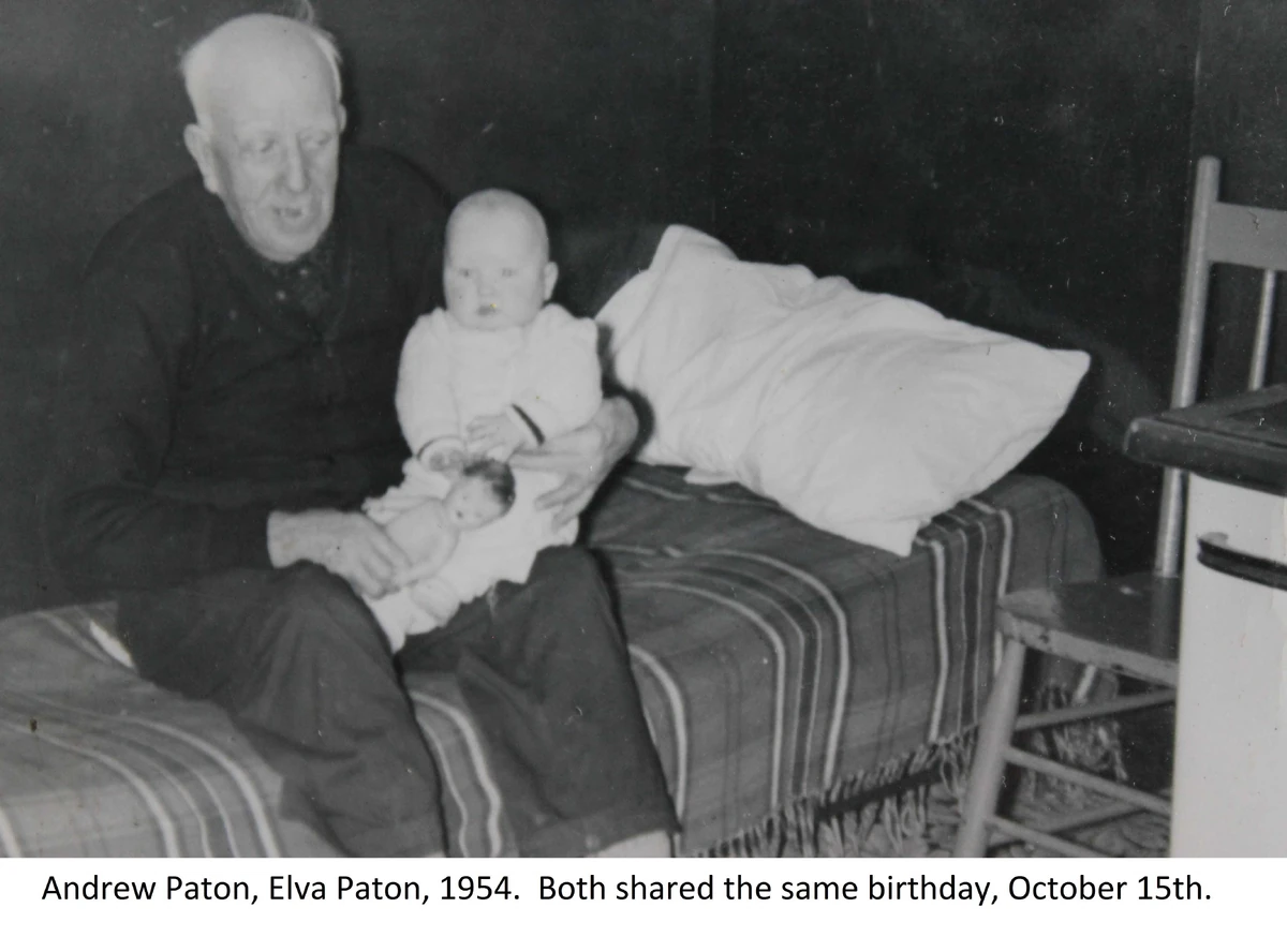 Andrew Paton | Sourispedia Wiki | Fandom