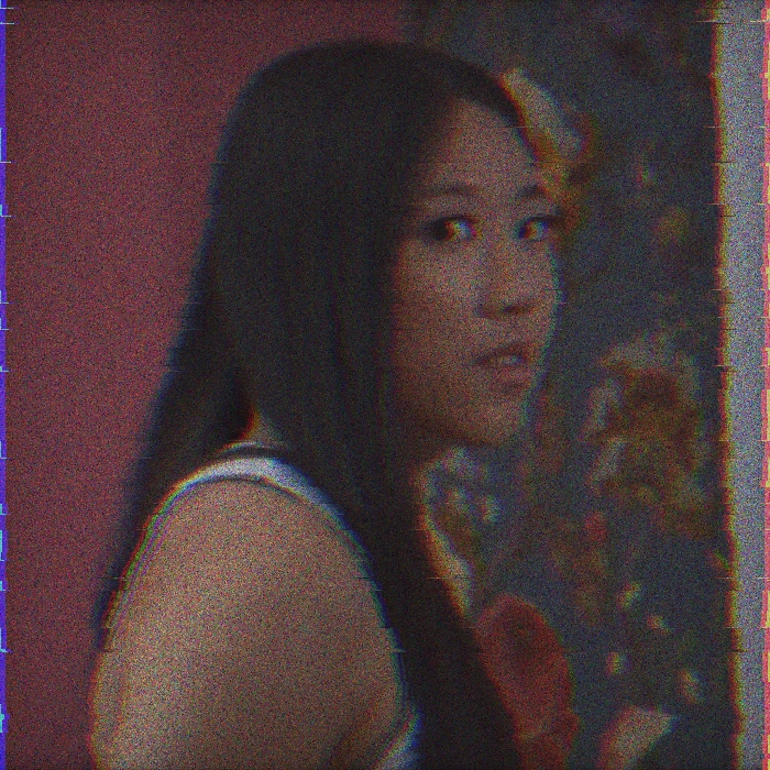 Shing Lin Otake | South Central Wiki | Fandom