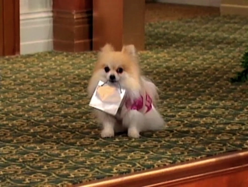 Ivanna | South of Happy Doom Wikia | Fandom