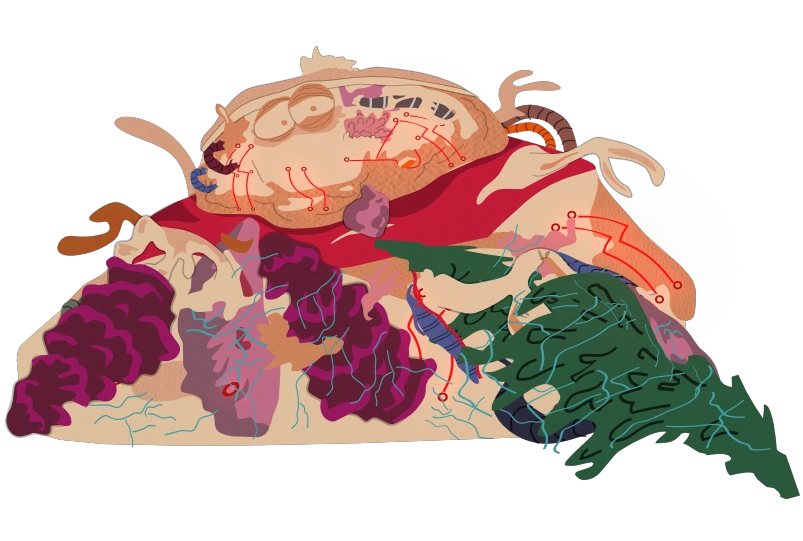 Dawson's Creek Trapper Keeper Ultra Keeper Futura S 2000 | South Park ...