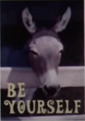 Category:Fonts | South Park Public Library | Fandom