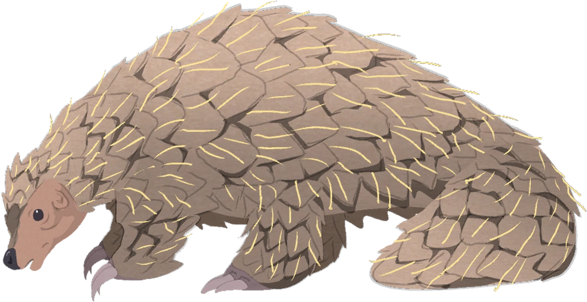 Pangolin | Wiki South Park | Fandom