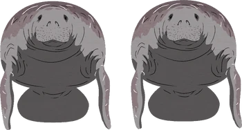 Manatees | South Park Archives | Fandom