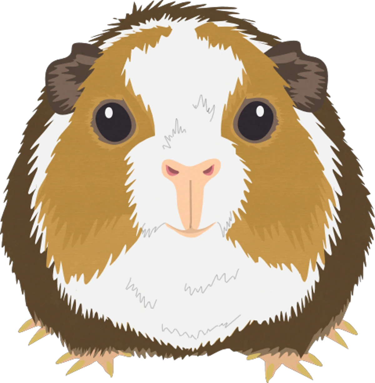 Stripe | Wiki South Park | Fandom