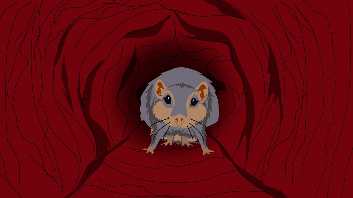 The Ballad of Lemmiwinks | Wiki South Park | Fandom