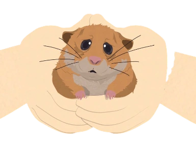 Banjo | Wiki South Park | Fandom