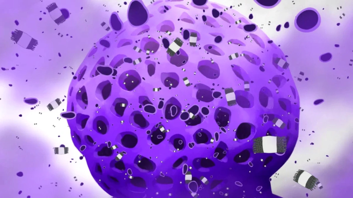 Code D | Space Dandy Wiki | Fandom
