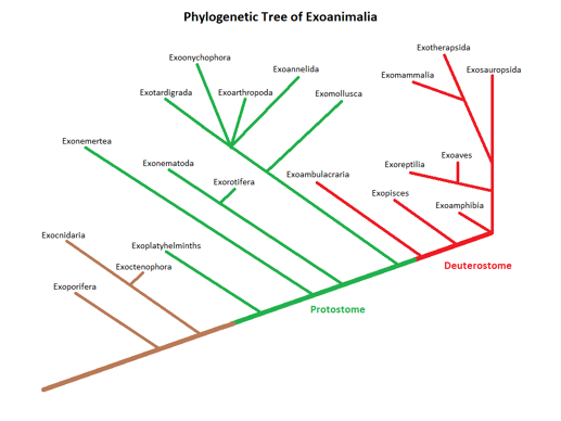 Evolution and Phylogenesis of organic Exospecies | Amaranth Legacy Wiki ...