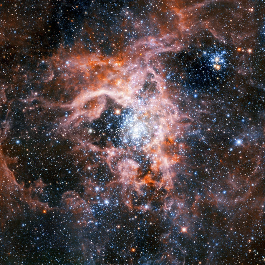 Tarantula Nebula | Space Fact File Wiki | Fandom