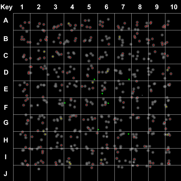 Galaxy | Space Frontier Wiki | Fandom