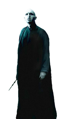 Lord Voldemort | Space Jam Wiki | Fandom