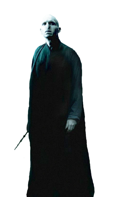 Lord Voldemort | Space Jam Wiki | Fandom