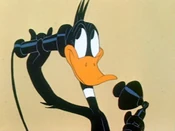 Daffy Duck | Space Jam Wiki | Fandom